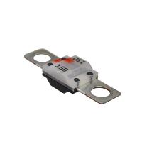 China Universal Type Blown Fuse for Car Boat Truck 40/80/125/150/200 Series New Condition for sale