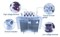 China 10kv Voltage 0.4kv 3 Phase Distribution Transformer Dual Winding 125kva 160kva 200kva 250kva for sale