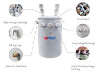 China 75kVA 250kVA Pole Mounted Distribution Transformer Single Phase MV HV Custom Logo for sale