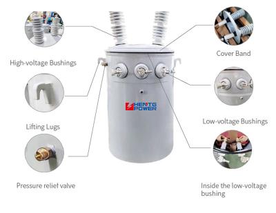 China 75kVA 250kVA Pole Mounted Distribution Transformer Single Phase MV HV Custom Logo for sale