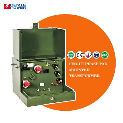 China HENTG POWER ONAN 100kVA 13.8kV/240V Single-Phase Transformer for Underground Distribution for sale