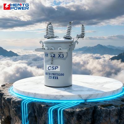 China High Efficiency 25 kVA 13.8 kV to 0.24 kV Single Phase Pole Mounted Distribution Transformer for Rural Electrification for sale