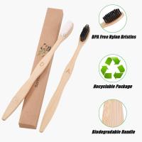 China Eco Friendly Bamboo Handle Toothbrush BPA Free Biodegradable for sale