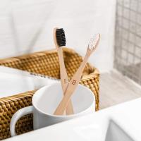 China Natural Charcoal Biodegradable Bamboo Toothbrush Custom Green for sale