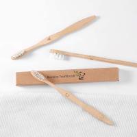 China Natural Charcoal Biodegradable Bamboo Toothbrush Custom Green for sale
