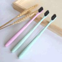 China Adult Portable Wheat Straw Toothbrush PP nylon Dupont Soft Charcoal Toothbrush for sale