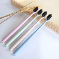 China Adult Portable Wheat Straw Toothbrush PP nylon Dupont Soft Charcoal Toothbrush for sale