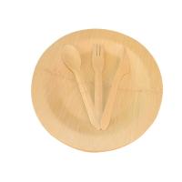 China Birch Disposable Wooden Cutlery Set BBQ Eco Friendly Biodegradable Tableware for sale