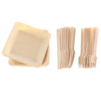 China Birch Disposable Wooden Cutlery Set BBQ Eco Friendly Biodegradable Tableware for sale