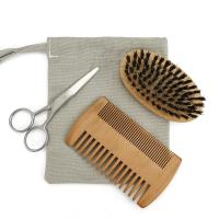China Customized Logo Beard Care Set 10cm Portable Beard Trimming Tool for sale