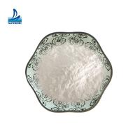 China ISO Certified Pharmaceutical grade Sodium Starch Glycolate (SSG) with 25kg Packaging for Tablet Disintegrants for sale