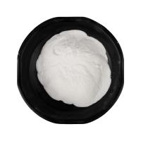 China Pharmaceutical grade Sodium Starch Glycolate CAS 9063-38-1 Carboxymethyl Starch Sodium Powder for sale