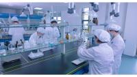 China EthylCellulose N10 Medicine Grade Customer Requirements CAS No 9004-57-3 for sale