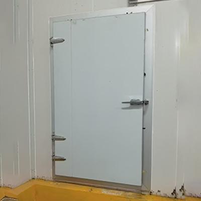 China 304 Stainless Steel Cold Storage Door Heavy Duty Single Leaf Semi Recessed Hinged Swing Door for sale