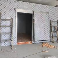 China Semi Recessed Cold Room Door 75mm 100mm 120mm 150mm For Food Cold Chain Storage for sale