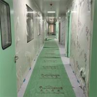 China Flame Retardant Fire-Proof Cleanroom Door Excellent Sealing Protection For Hospital Healthcare Environments for sale
