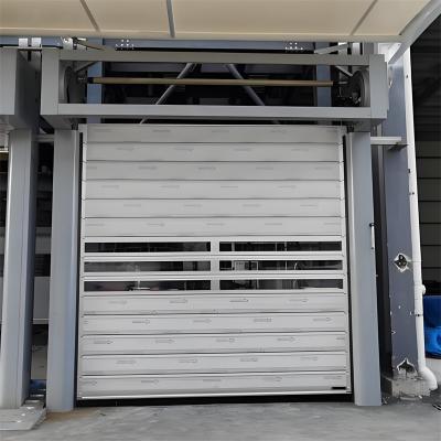 China Durable Industrial Door Solution with Reduced Maintenance Requirements for sale