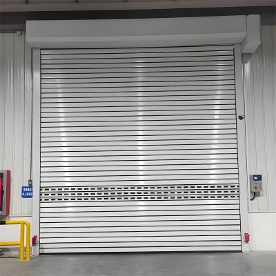 China 380V 220V Thermal Insulation Performance Insulated Aluminum Rigid High Speed Door For Cold Storage Entrance/Exit for sale