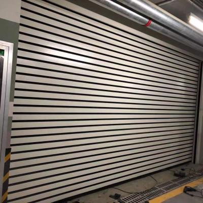 China Large Size Customized Max Size 6x8m Aluminum Rigid High Speed Door For Aircraft Hangar for sale