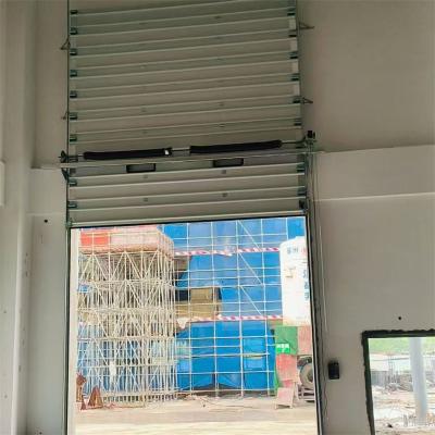 China 2mm Galvanized Steel Reliable Industrial Sectional Overhead Door For Finished Goods Dispatch Zones for sale