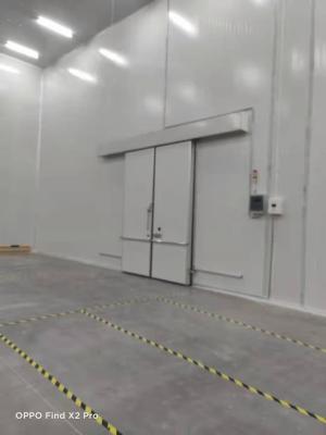 China Airtight Insulated Double Sliding Electric Cold Room Door 200mm Frozen Food Processing Facilities for sale