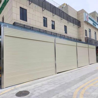 China Reinforced Insulated Sectional Garage Door with 0.5 mm Straightness Tolerance and 1.5 mm Steel Reinforcement for sale