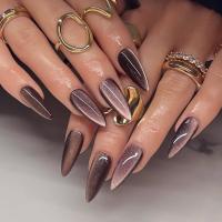 China Glossy Finish Long Stiletto Cat Eye False Nails Private Label Service for sale