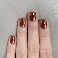 China Glossy Finish Cat Eye Artificial Nails Short Square Cat Eye Press On Nails for sale