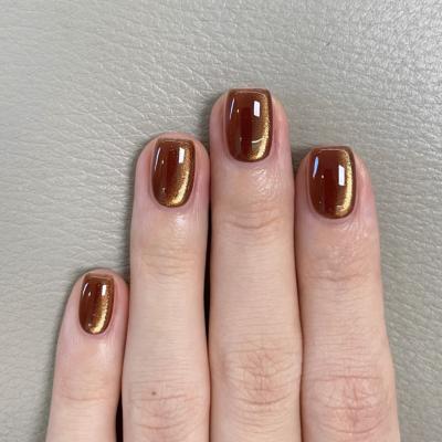 China Glossy Finish Cat Eye Artificial Nails Short Square Cat Eye Press On Nails for sale
