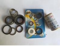 China China  Mold  Temperture controller  spare part- pump seal  set /shaft seal, gland seal, mechanical sealsupplier for sale