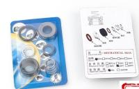 China China  Mold  Temperture controller  spare part- pump seal  set /shaft seal, gland seal, mechanical sealsupplier for sale