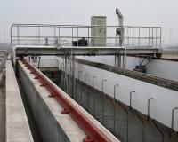China Traveling Bridge Suction Sludge Collector for sale