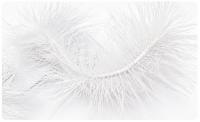 China Elastic Bio Media for sale