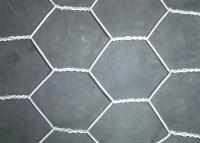 China Galvanized Coated 0.7mm Hex Wire Mesh 12.5x12.5mm for sale