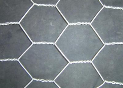 China Galvanized Coated 0.7mm Hex Wire Mesh 12.5x12.5mm for sale