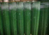 China Pvc Coated Galvanised Welded Wire Mesh 50x50 For Bird Cage for sale