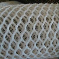 China 300gsm Plastic Netting Mesh for sale