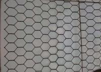 China Chicken 13mm 0.9mm Pvc Coated Hexagon Metal Mesh for sale