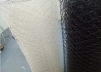 China Chicken 13mm 0.9mm Pvc Coated Hexagon Metal Mesh for sale