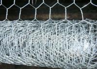 China 25mm Hexagonal Chicken Wire Mesh for sale