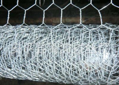 China 25mm Hexagonal Chicken Wire Mesh for sale