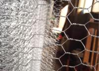 China Hot dip galvanized 50mm 1.6mm chicken Hexagon Metal Mesh for sale
