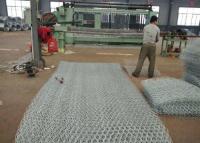 China 80x100mm 3.2mm Hot Dipped Galvanised Garden Gabion for sale