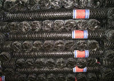 China 13mm BWG22 Galvanized Hexagonal Wire Mesh for sale