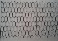China Breed 0.5m 13mm Pvc Coated Hexagon Metal Mesh for sale
