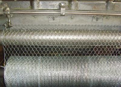 China plant protection 25mm	BWG24 Hexagon Metal Mesh for sale