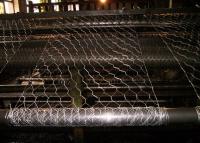 China plant protection 25mm	BWG24 Hexagon Metal Mesh for sale