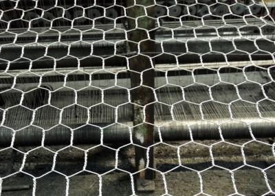 China Reverse twisted 75mm bwg19 Hexagon Metal Mesh for sale