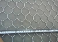 China Animal Protection 75mm BWG18 Hexagonal Chicken Wire for sale