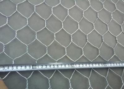 China Animal Protection 75mm BWG18 Hexagonal Chicken Wire for sale